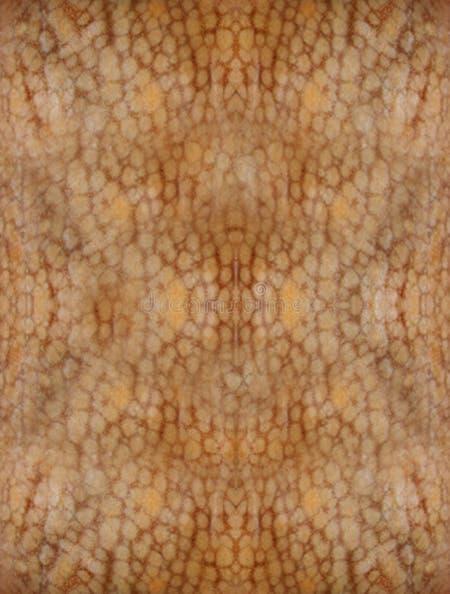 The Seamless Texture of an Octopus Stock Illustration - Illustration of ...