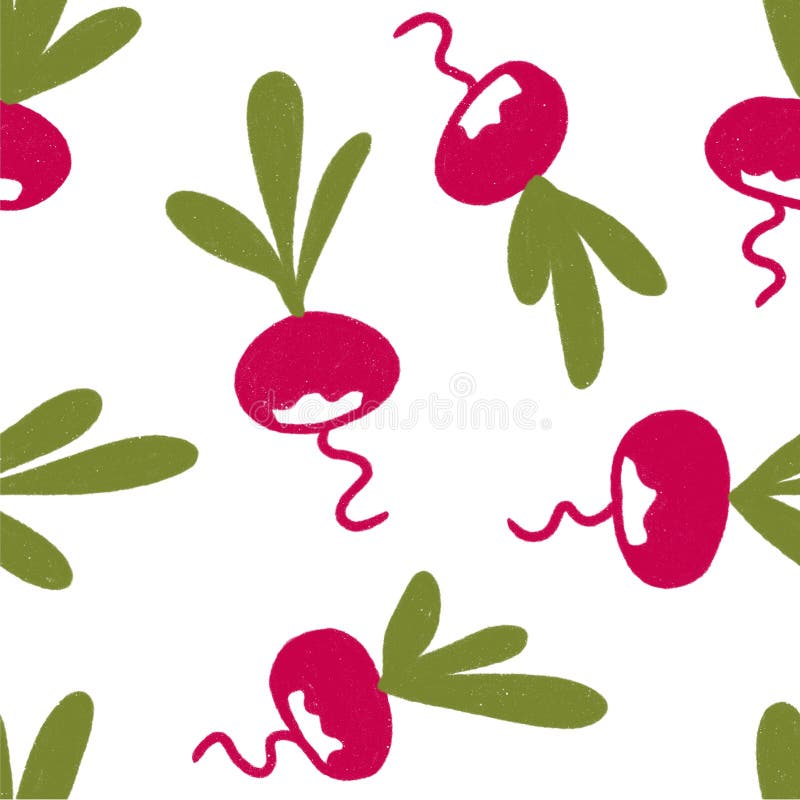 Seamless Texture Pattern of Hand Drawn Radishes on a White Background ...
