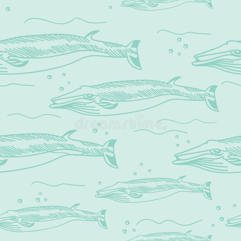 Seamless Texture Pattern with Light Blue Whales Stock Vector ...