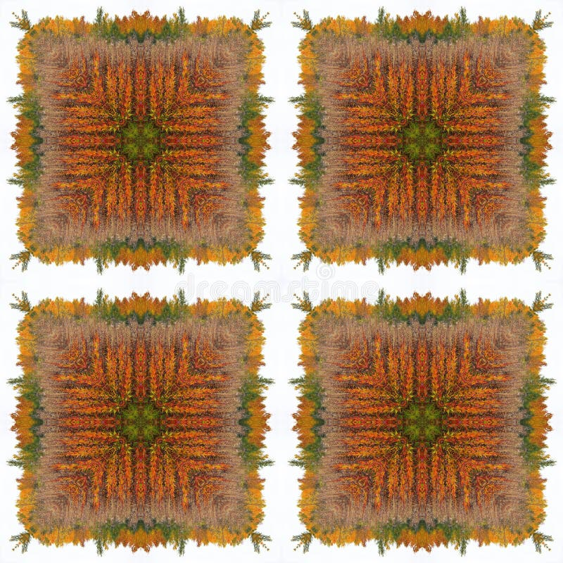 Seamless Texture, Pattern, Tile, Pattern - from Photo - Golden Autumn ...