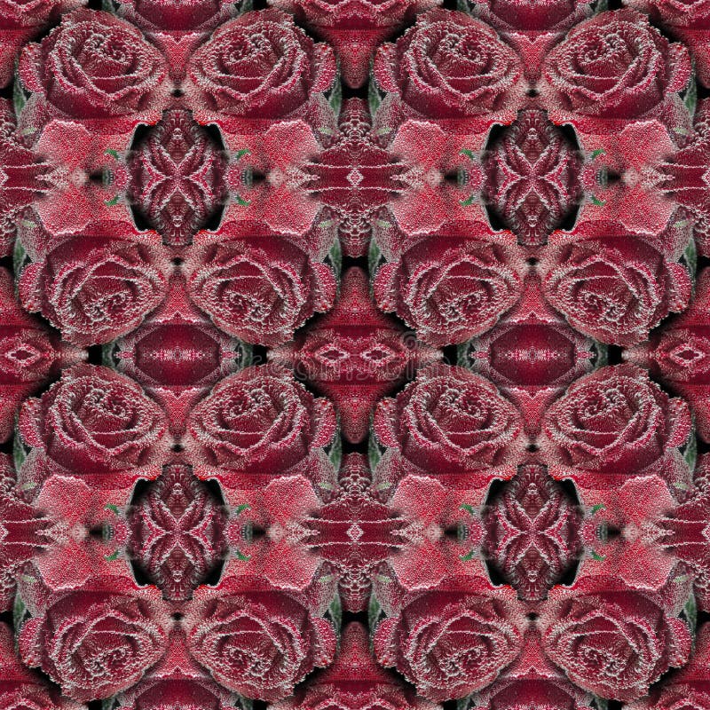 Seamless Texture of Red Roses in Drops Stock Photo - Image of beauty ...