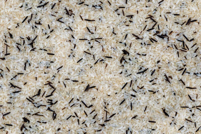 Seamless texture of rice stock image. Image of pattern - 85473723