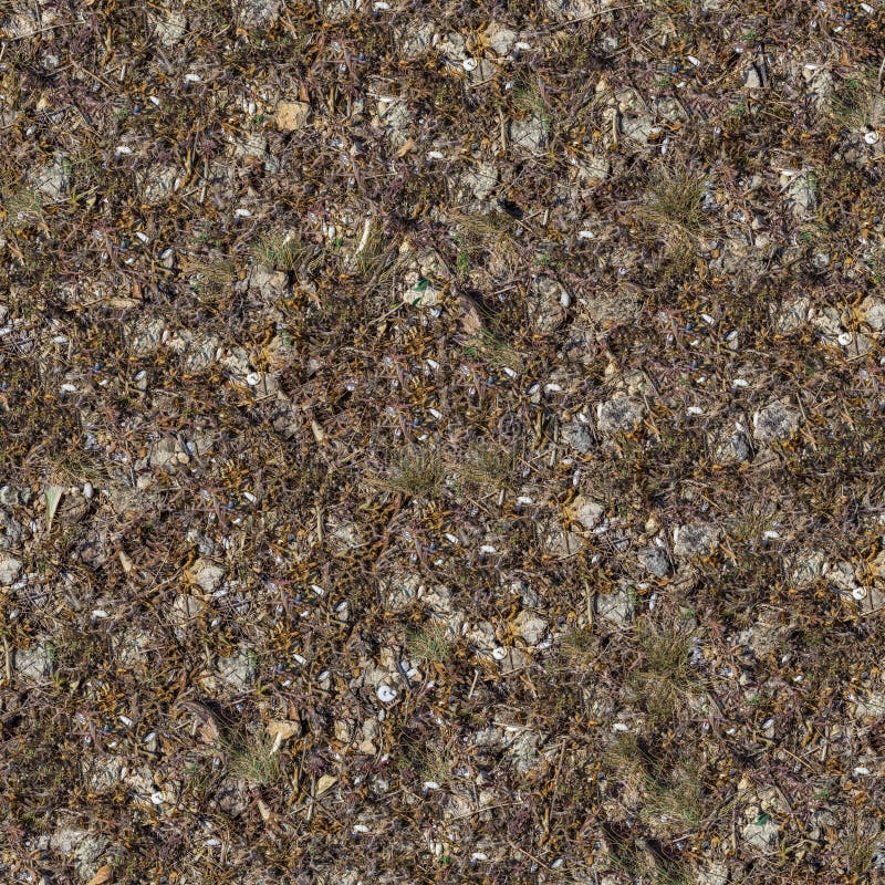 Dry Grass Texture Seamless