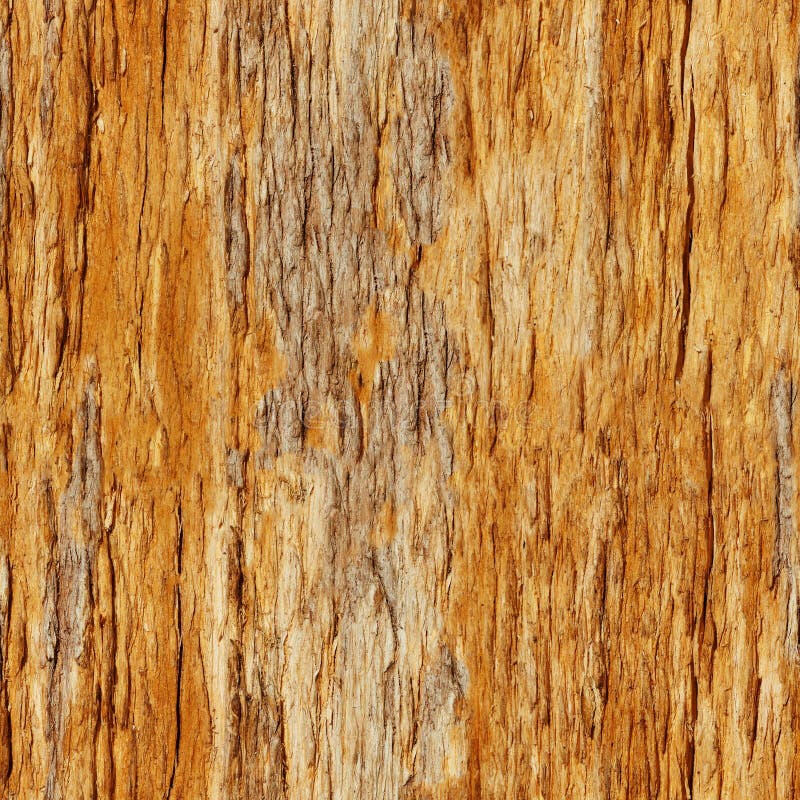 Rotting wood stock image. Image of wood, macro, background - 793075