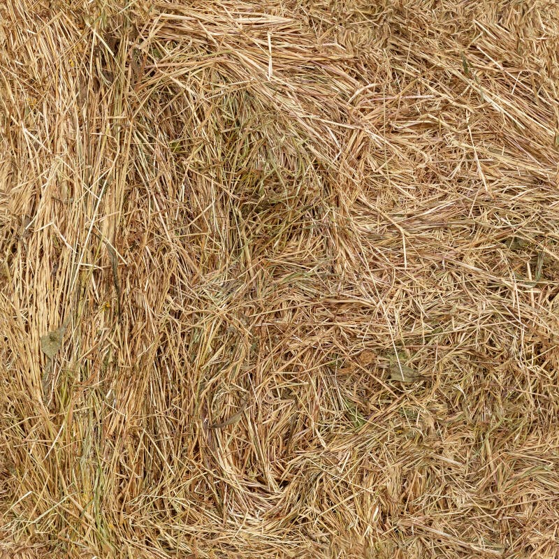 Seamless Texture of Straw Texture in 4k Resolution Stock Photo - Image ...
