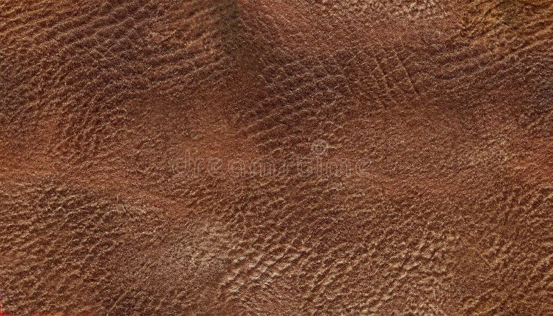 Seamless Texture of Textured Cowhide Stock Photo - Image of dark ...