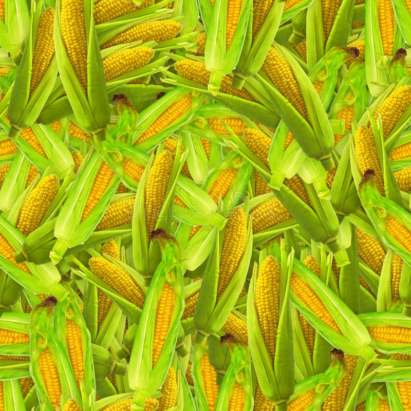 Corn Fill A Silo From Inside Stock Image - Image of spread, spreading ...