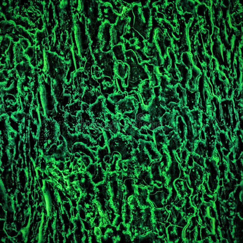 Seamless Texture of Tree Bark in Green- Cool for Wallpaper Stock ...