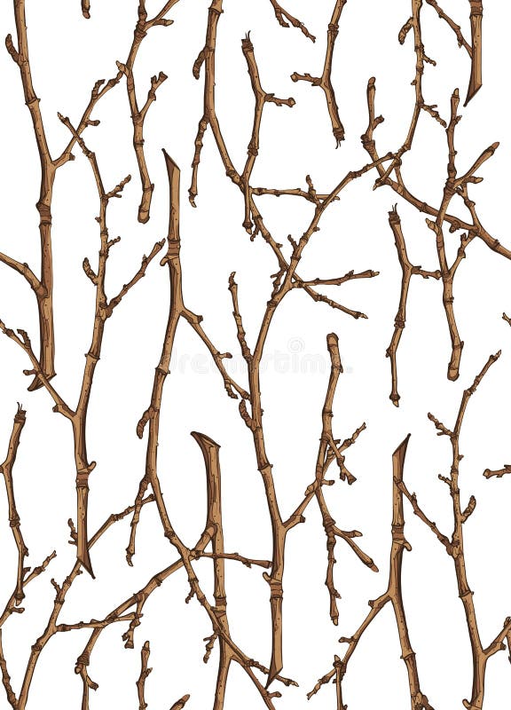 Twigs Stock Illustrations – 77,424 Twigs Stock Illustrations, Vectors ...