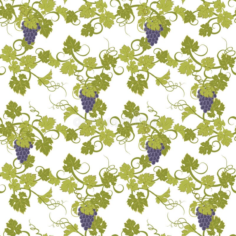 Seamless Texture with Vines and Bunches of Grapes. Stock Vector ...