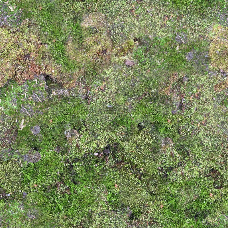 Seamless Texture of Wall Decorated with Moss. Endless Forest Moss Pattern. Seamless Texture ...