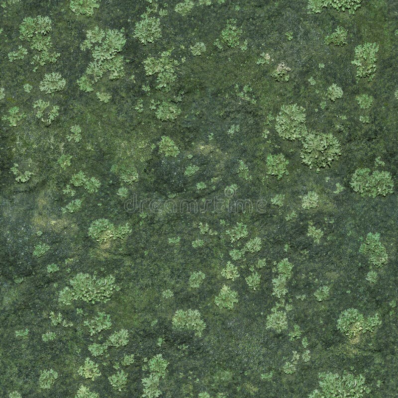 Seamless Textures of the Ground. Very High Quality Stock Image - Image ...