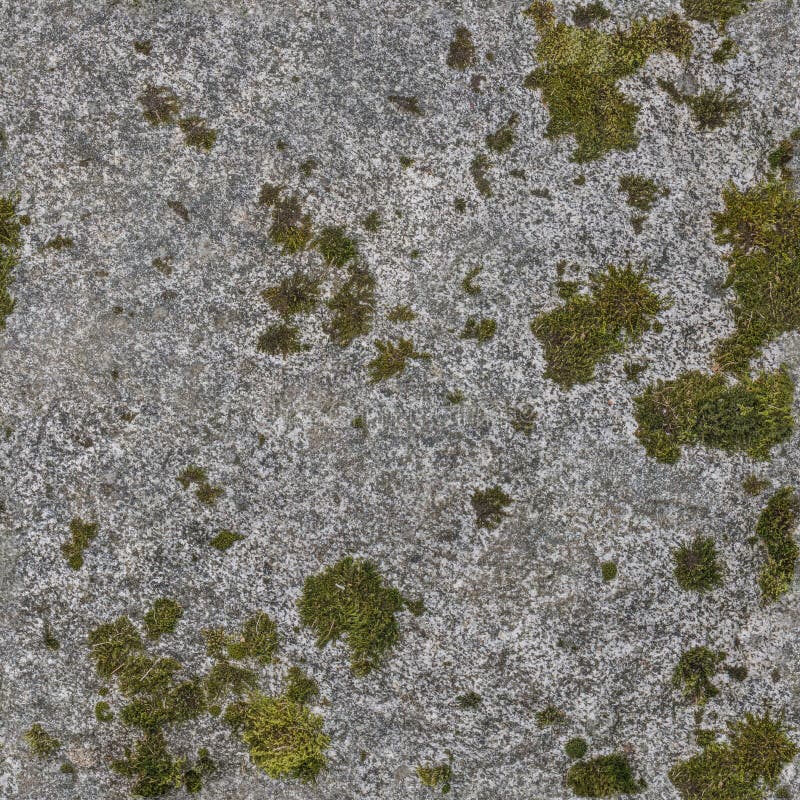 Seamless Textures of the Ground. Very High Quality Stock Photo - Image ...