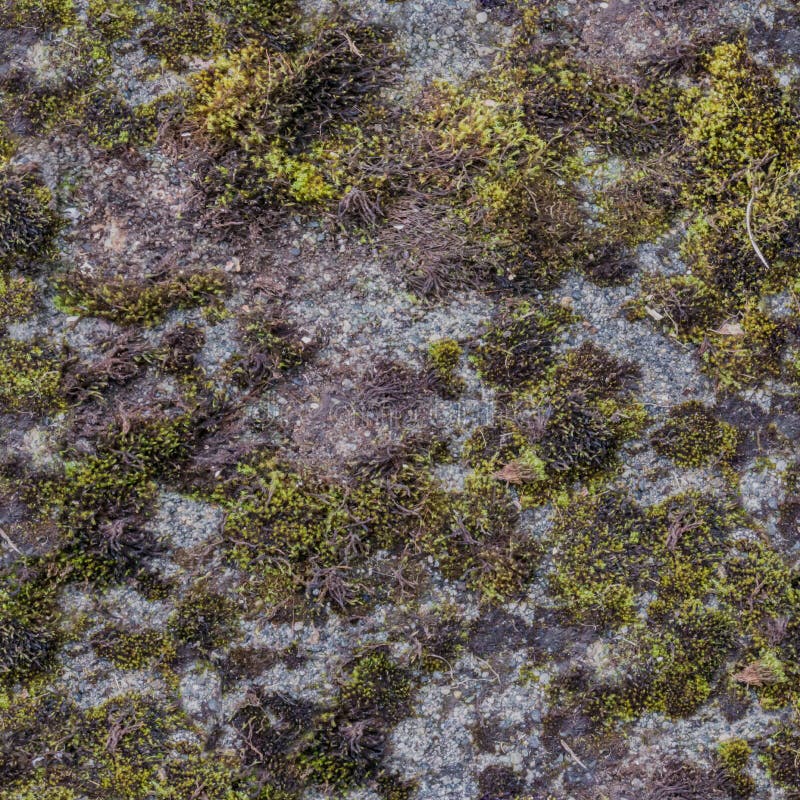 Seamless Textures of the Ground. Very High Quality Stock Photo - Image ...