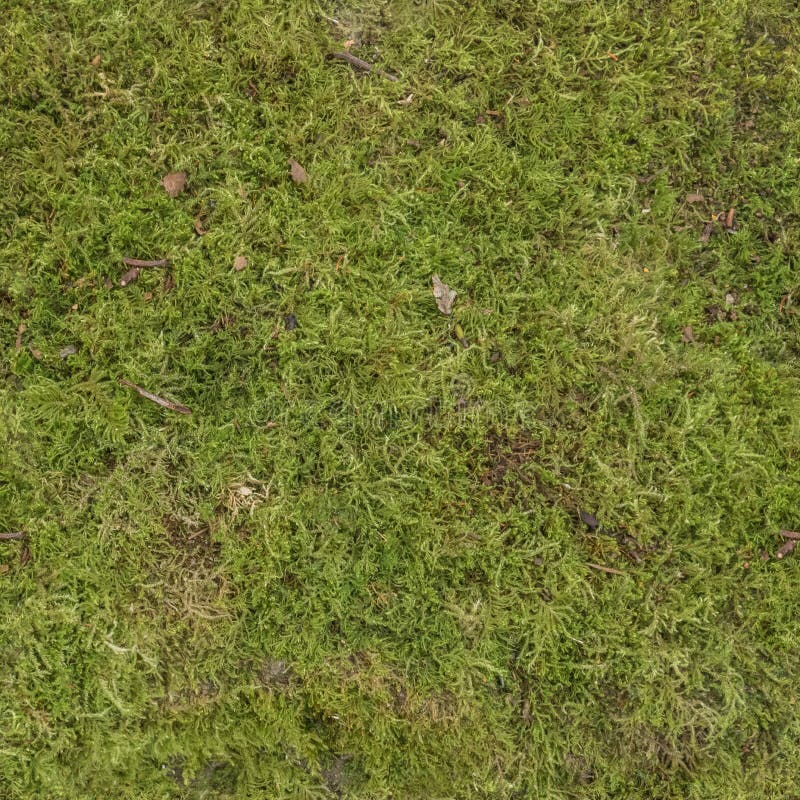 Seamless Textures of the Ground. Very High Quality Stock Photo - Image ...