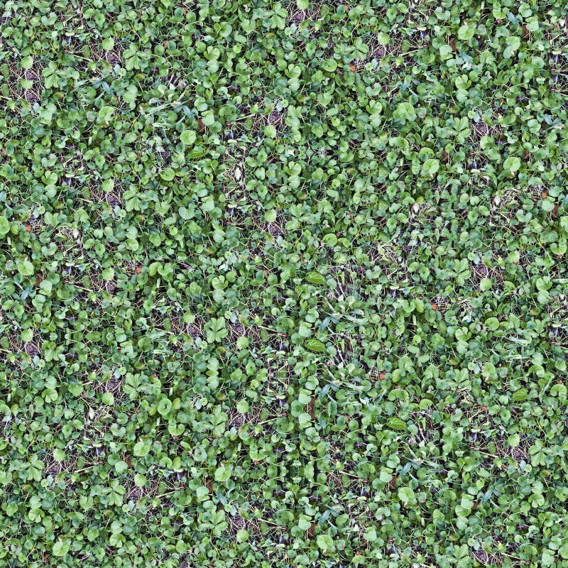 Seamless Tileable Natural Ground Field Texture Stock Photo - Image of ...