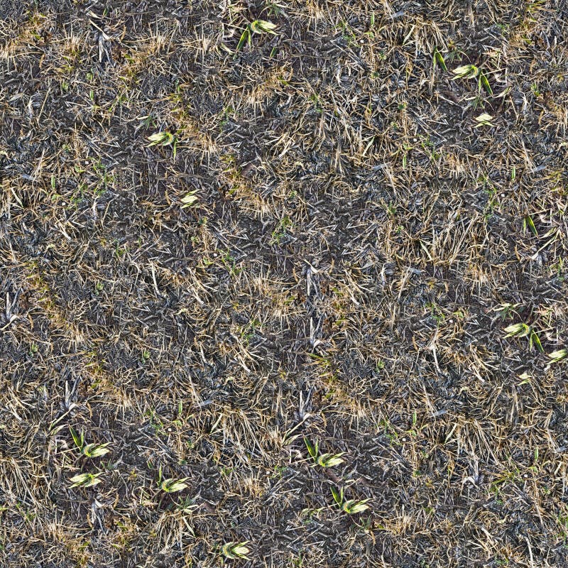 Seamless Tileable Natural Ground Field Texture Stock Image - Image of ...