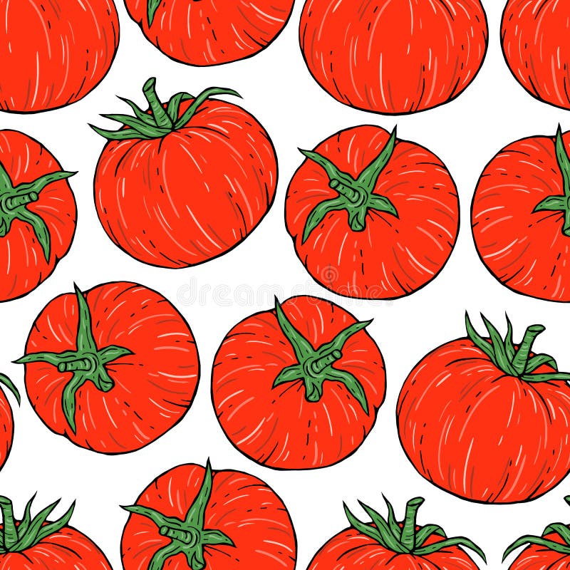 Seamless tomato pattern stock vector. Illustration of doodle - 38081833