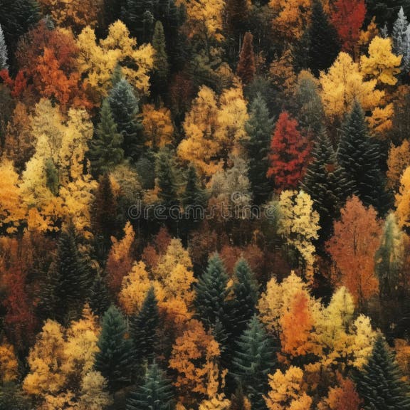 Seamless. Top View of the Autumn Forest Stock Illustration ...