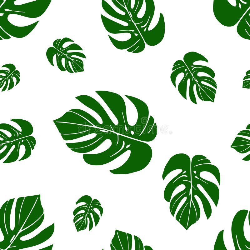 Seamless Tropical Monstera Leaf Pattern Green Foliage Vector Background Stock Illustration ...