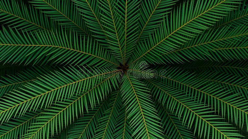 Seamless Tropical Palm Leaf Pattern with Overlapping Jungle Foliage Stock Illustration ...