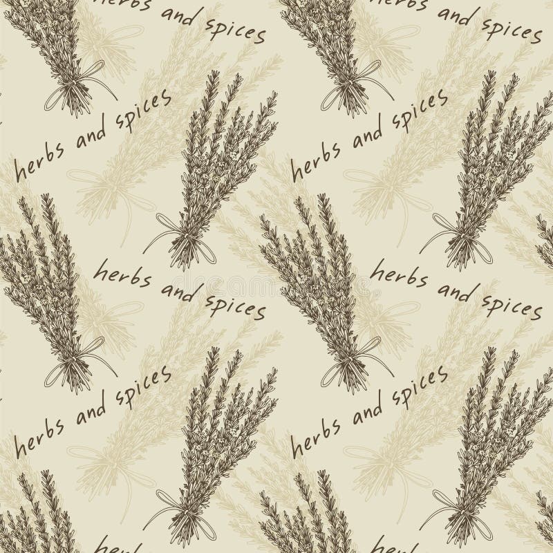 Seamless Vector Background with Savory, Hand Drawn Herbs Background ...