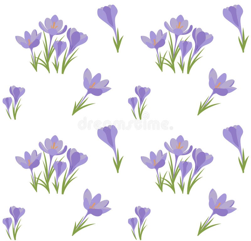 Seamless Vector Crocus Background. Stock Vector - Illustration of ...