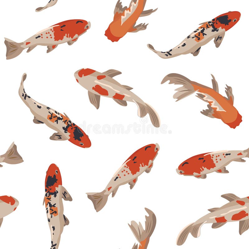 Realistic Koi Fish Drawing Color