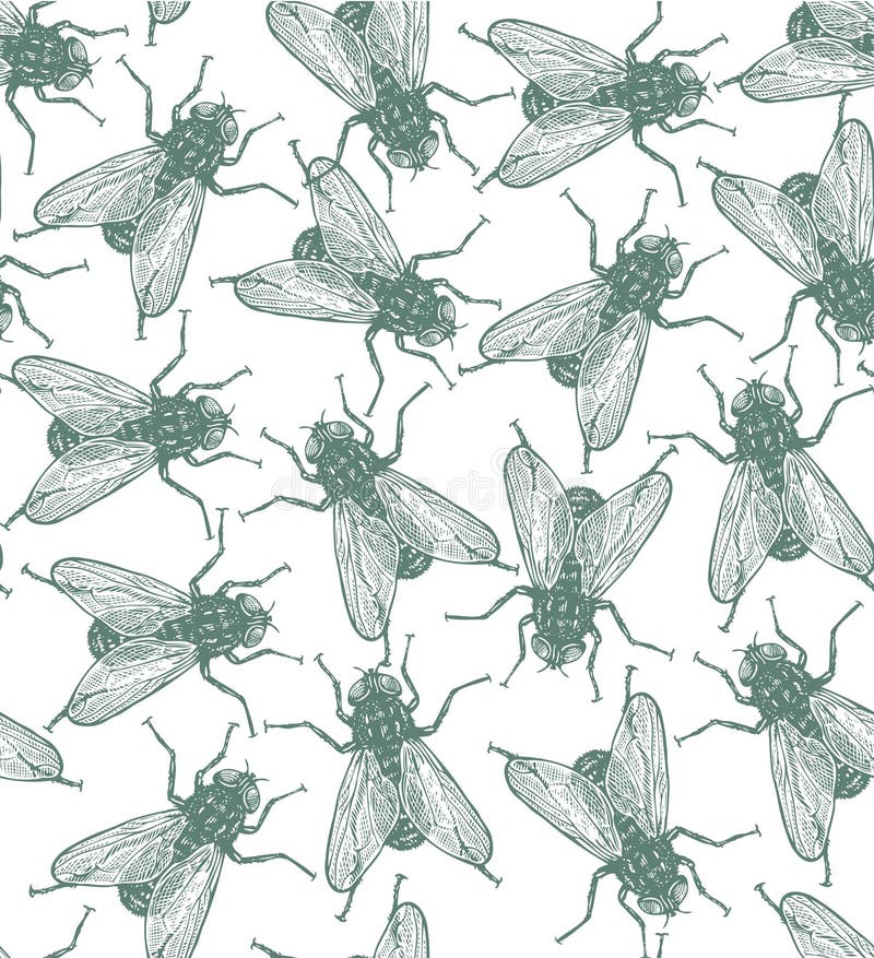 Dead flies 2 stock illustration. Illustration of white - 2238739
