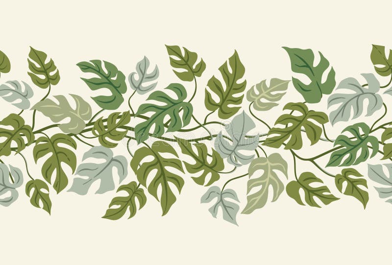 Horizontal Pattern with Monstera Deliciosa Leaves. Stock Vector ...