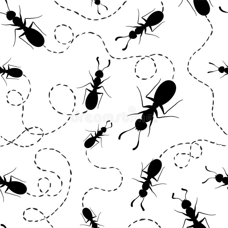 Ants Marching Clipart Black And White Flower
