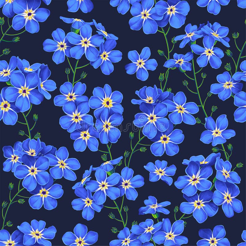 Seamless Vector Pattern with Blue Forget Me Nots on Dark Background ...