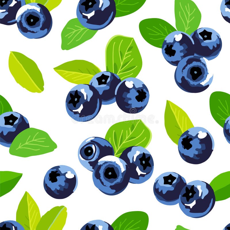 Seamless Pattern Of Blueberries On A White Background Stock Vector ...