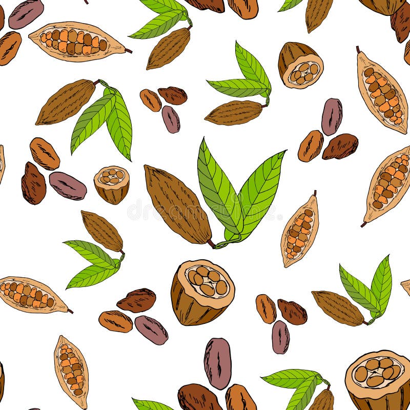 Seamless Vector Pattern with Cacao Stock Vector - Illustration of ...