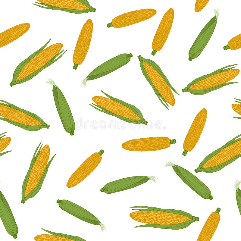 Seamless Vector Pattern with Fresh Ripe Corn Cobs. Stock Vector ...