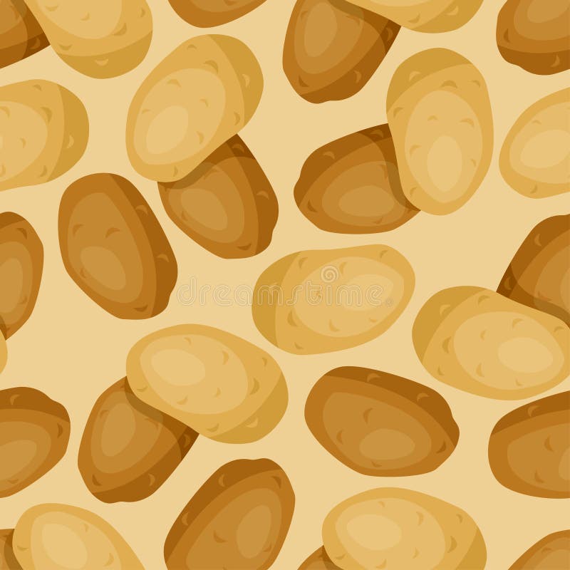 Seamless Vector Pattern with Fresh Ripe Potatoes Stock Vector ...