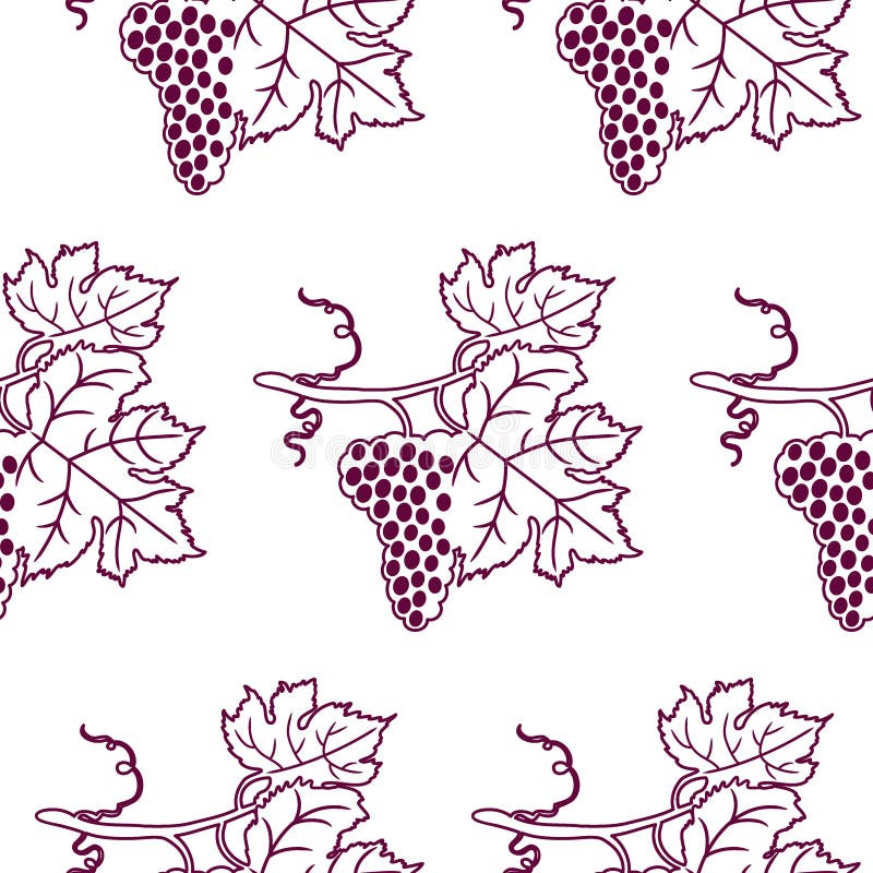Seamless Vector Pattern with Grapes. Vector Illustration of Bunch of ...