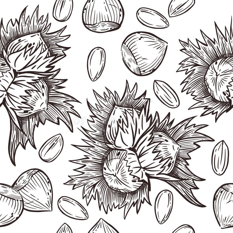 Hand Drawn Nut Silhouette Stock Illustrations – 1,713 Hand Drawn Nut ...