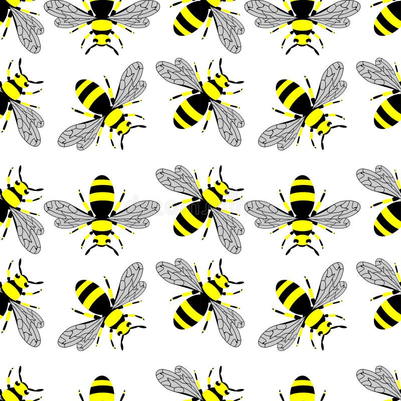 Wasp Pattern Outline Realistic. Vector Graphic Illustration. Summer ...