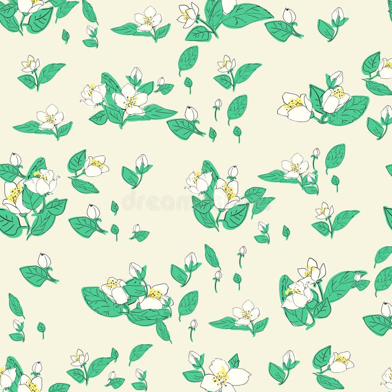 Seamless Vector Pattern with Jasmine Flowers. Floral Background Stock ...