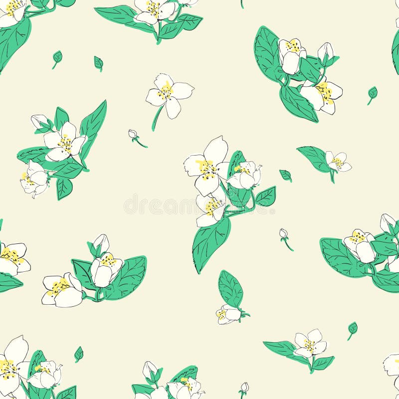 Seamless Vector Pattern with Jasmine Flowers. Floral Background Stock ...