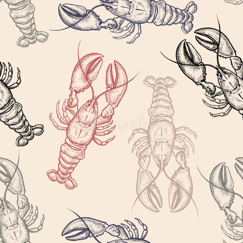 Lobster Lobsters Traps Stock Illustrations – 727 Lobster Lobsters Traps ...