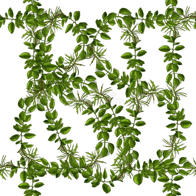 Long-branch Younger Futhark Runes Set Collection Stock Vector ...