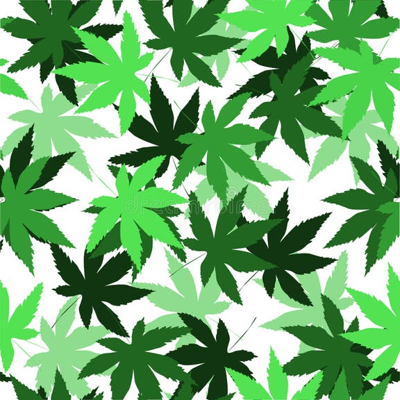 Seamless Vector Pattern with Marijuana Leaves, Hemp, Cannabis Stock ...