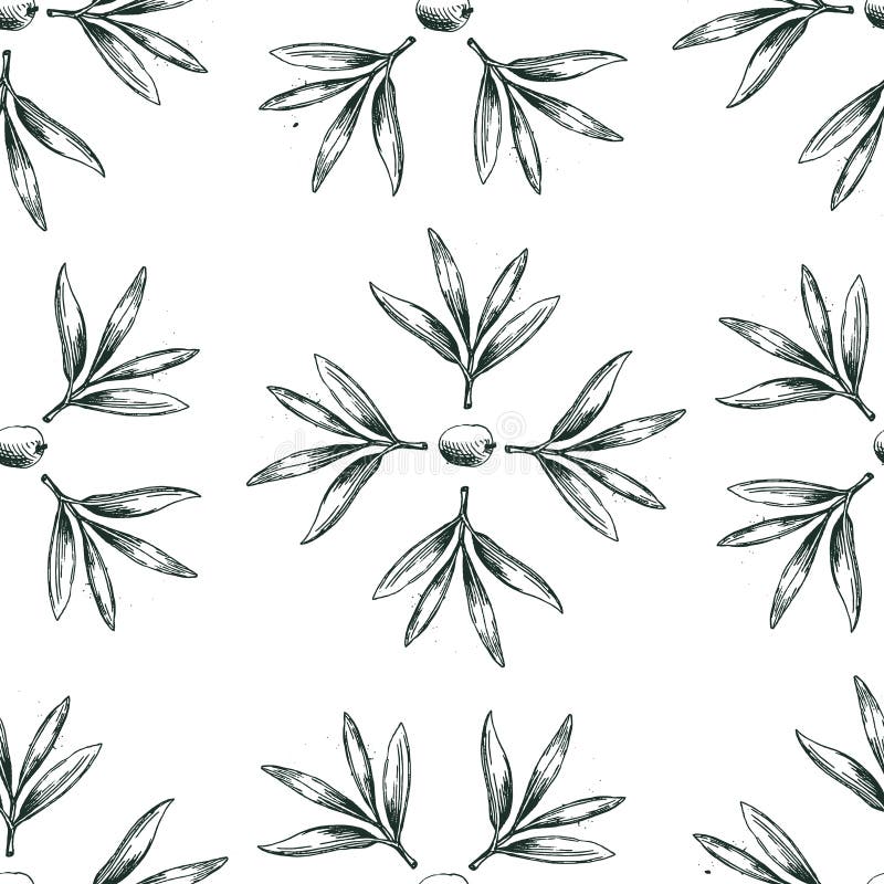 Seamless Vector Pattern with Olive Branch. Stock Vector - Illustration ...