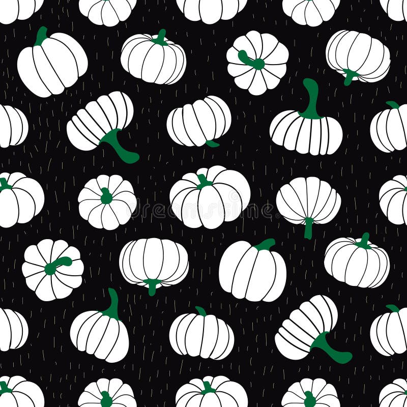 White Pumpkins on a Black Background. Vector Illustration Stock Vector ...