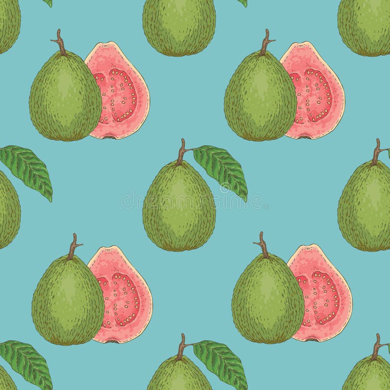 Guava Leaf Stock Illustrations – 2,777 Guava Leaf Stock Illustrations ...