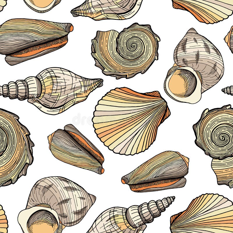 Set of Colored Seashells. Hand Drawn Vector Illustration of Underwater ...