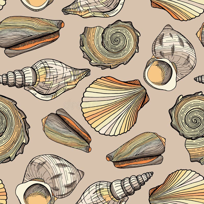 Set of Colored Seashells. Hand Drawn Vector Illustration of Underwater ...