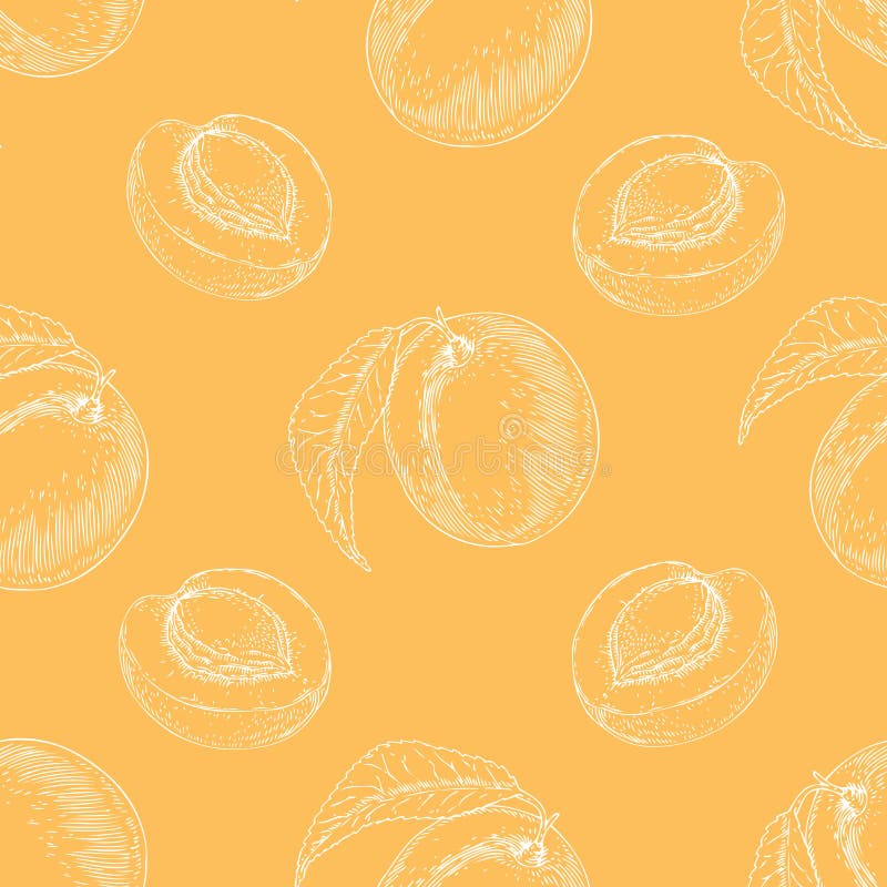 Seamless Pattern with Apricot Stock Vector - Illustration of apricot ...